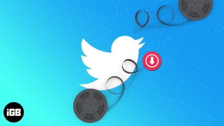 How to Use a GIF As Your Twitter Profile Picture - Zeru