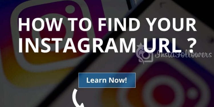 How Do I Find My Instagram URL? - Zeru