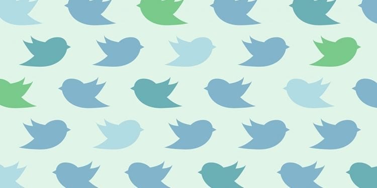 How to Change Twitter Handle Without Losing Your Followers - Zeru How to Change Twitter Handle Without Losing Your Followers - Zeru