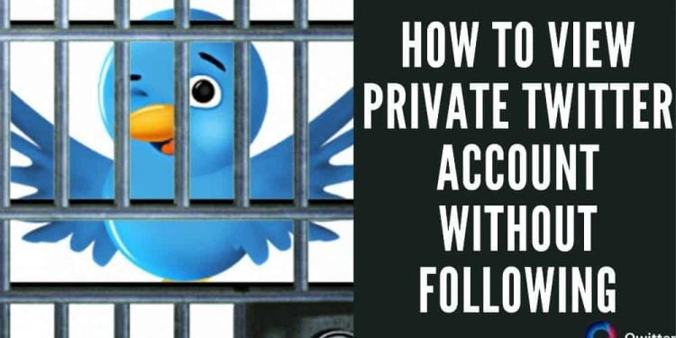 How to View Private Twitter Account Without Following - Zeru