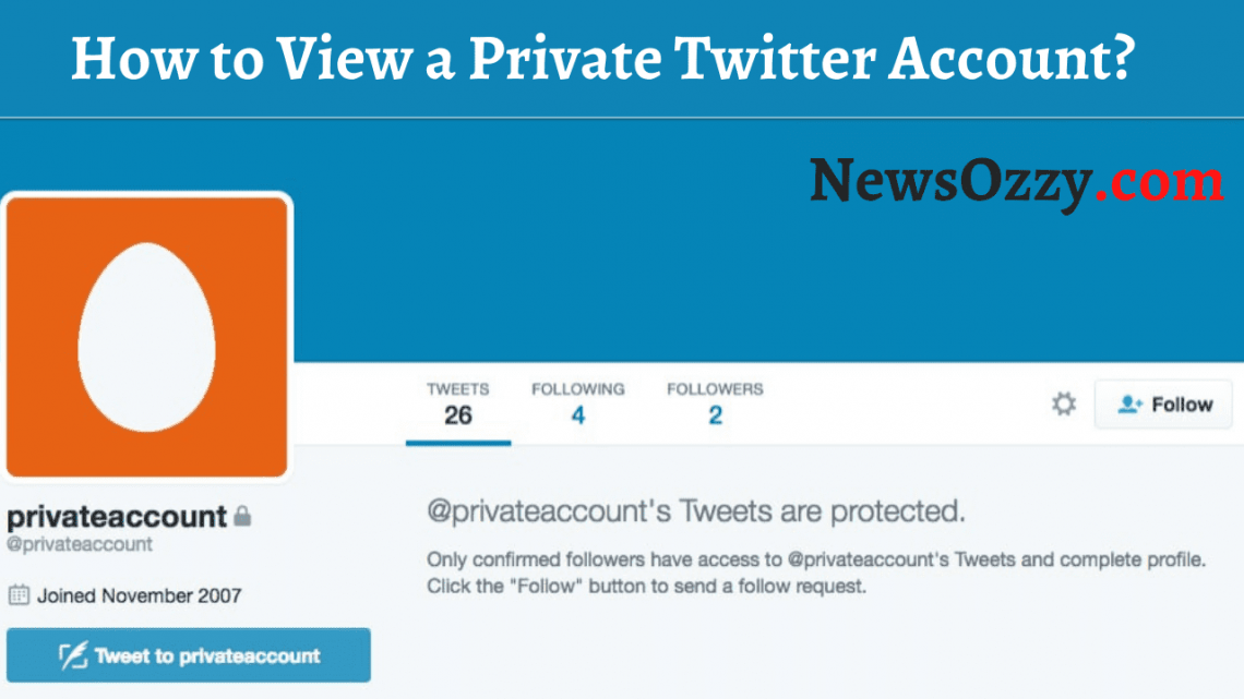 How to Make a Twitter Card - Zeru