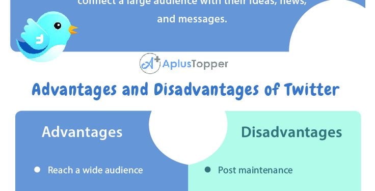 What Are the Disadvantages of Twitter? - Zeru