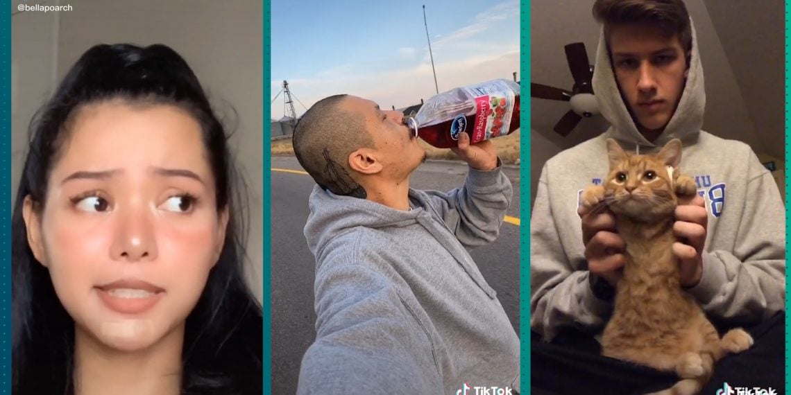 What is the Most Viral TikTok Video? - Zeru